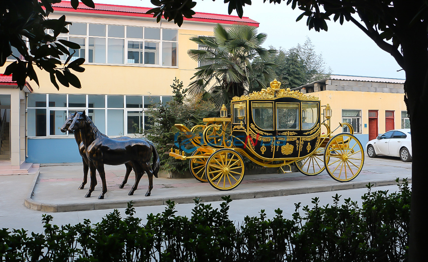 Black Luxury Elegant Princess Royal Horse Carriage Wedding Sightseeing ...